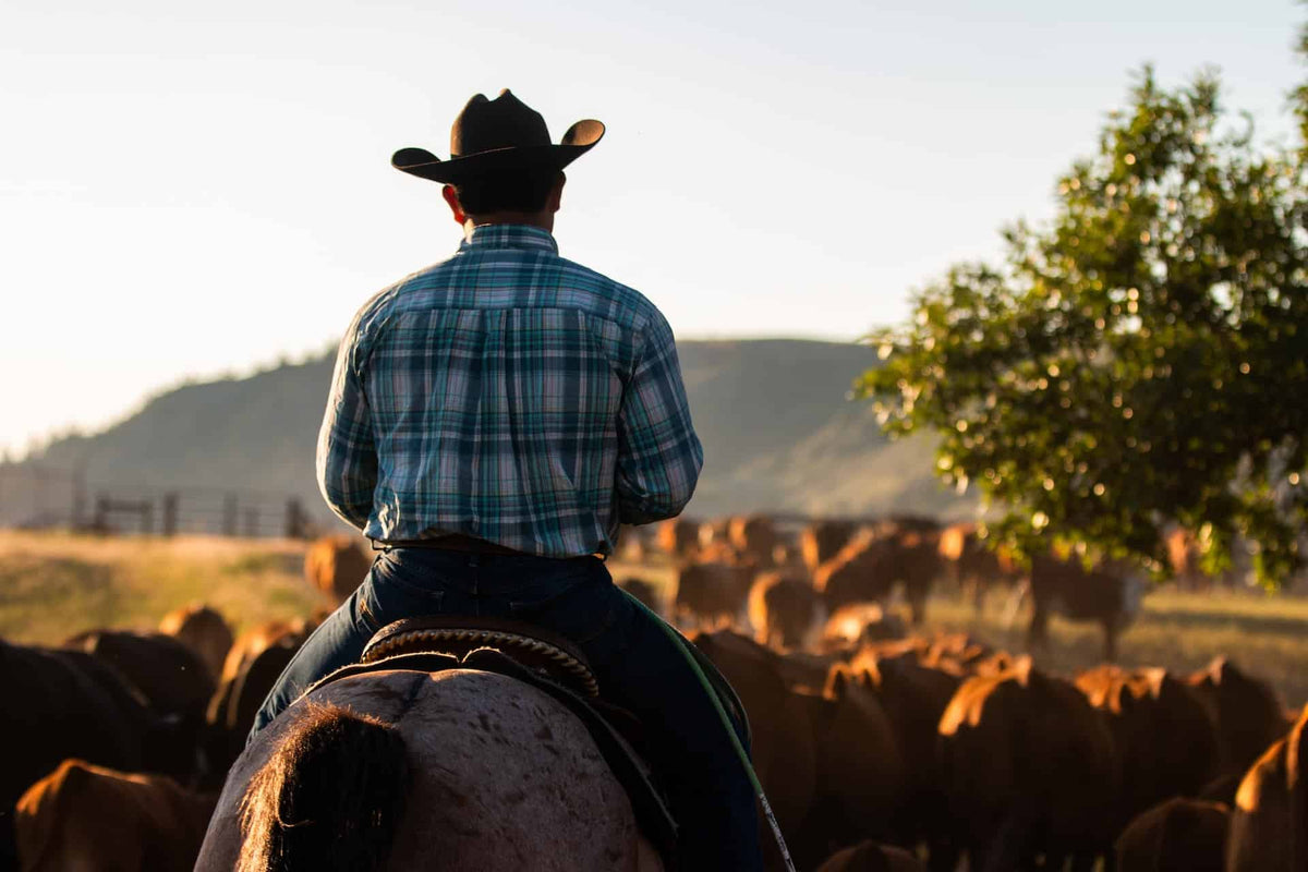 Who Was the Marlboro Man? Darrell Winfield Legacy – American Hat Makers