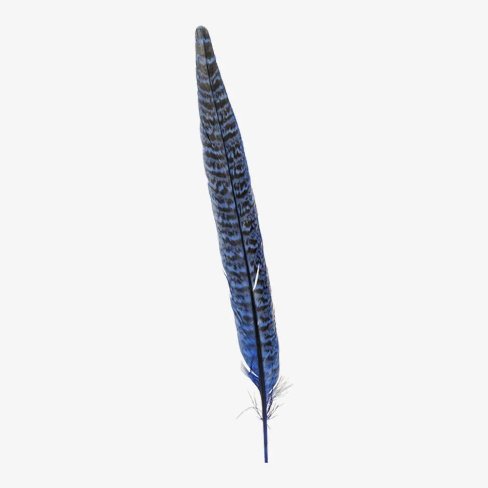 Ringneck | Vivid Hat Feather – American Hat Makers