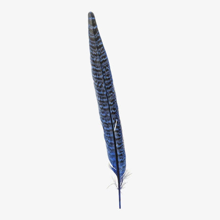 Ringneck | Vivid Hat Feather – American Hat Makers